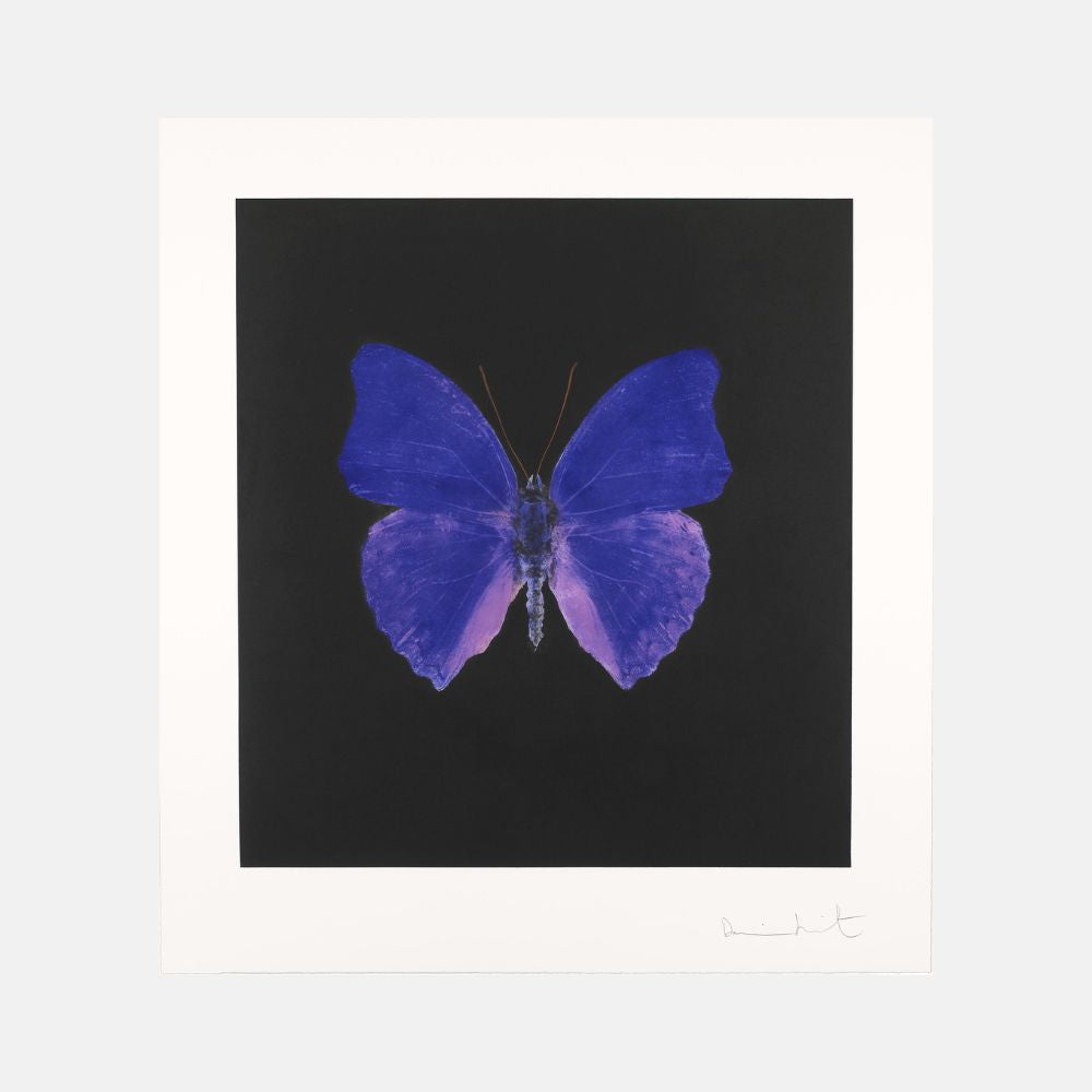 Damien Hirst, The Souls On Jacob's Ladder Take Their Flight #5, 2007 ...