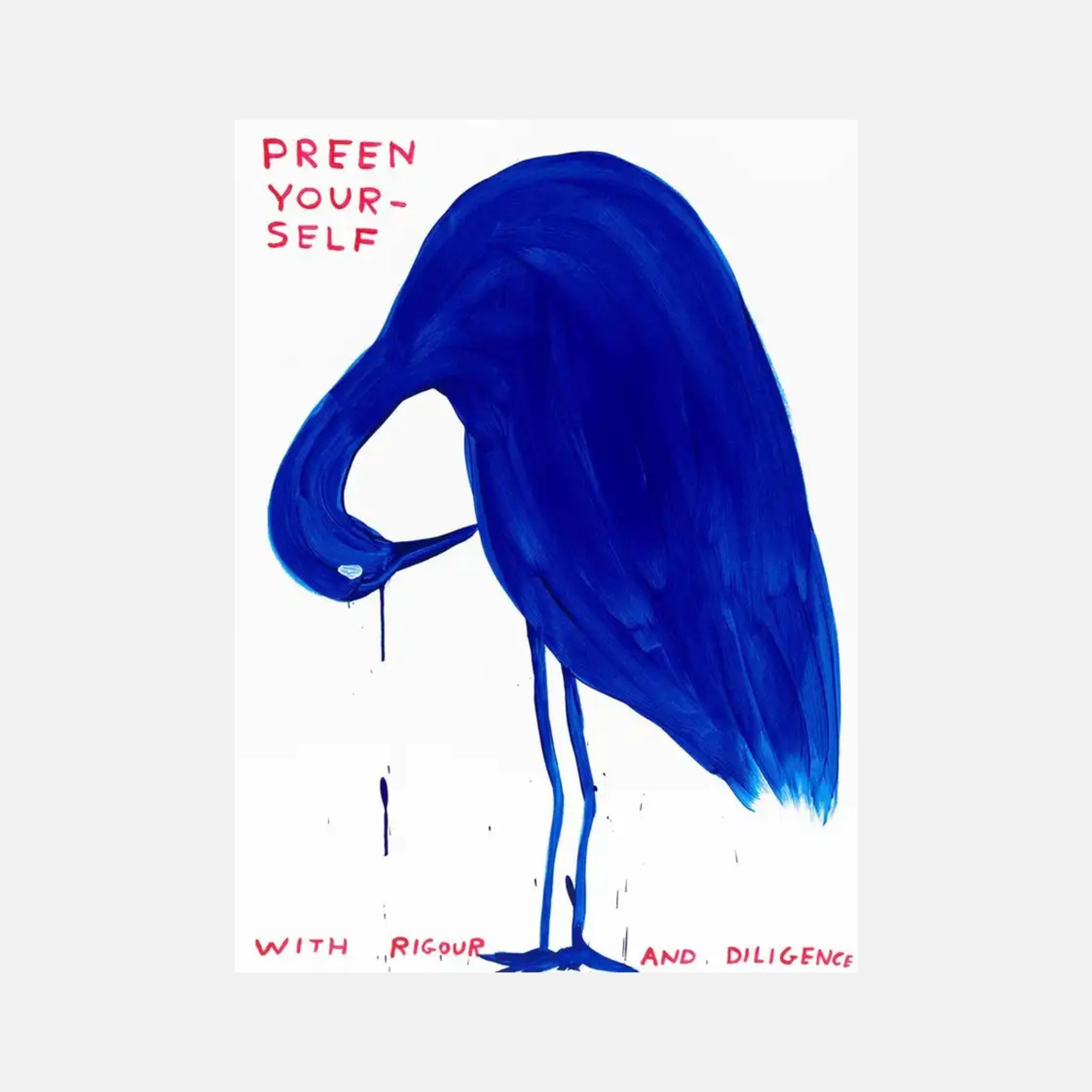 David Shrigley, Preen Yourself, 2023