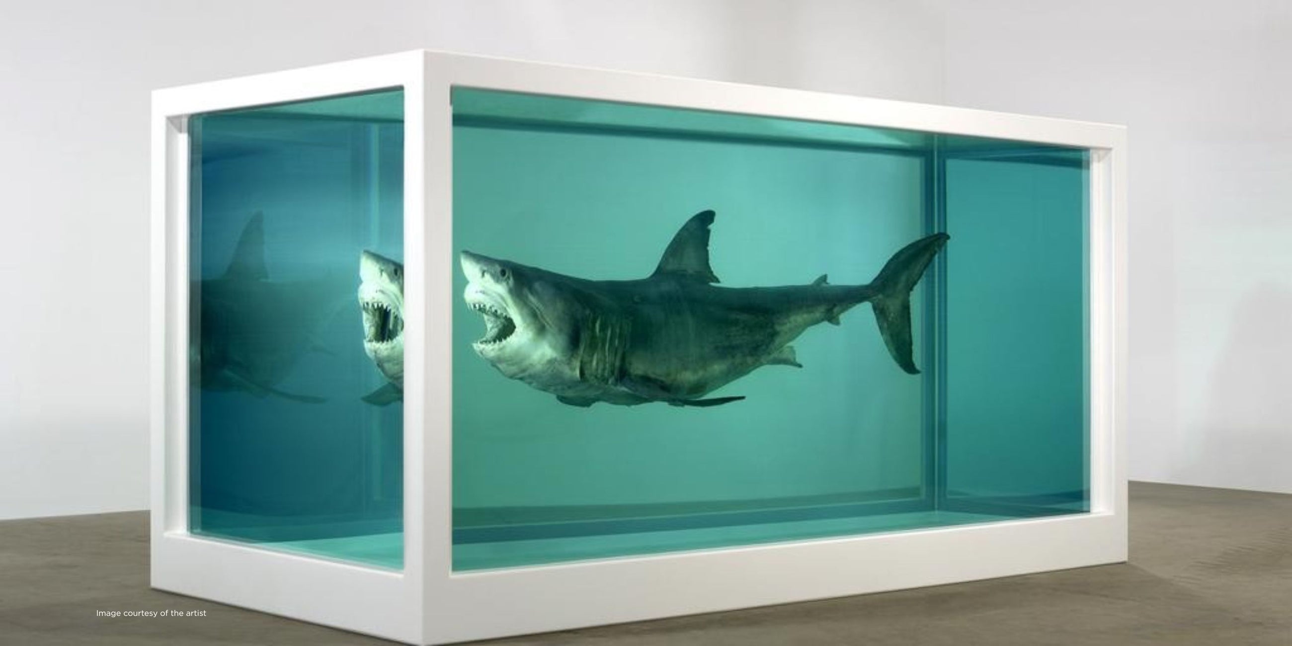 Inside Damien Hirst’s Creative Process: From Preserved Animals to Diam