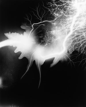 Hiroshi Sugimoto’s Most Iconic Photography Series